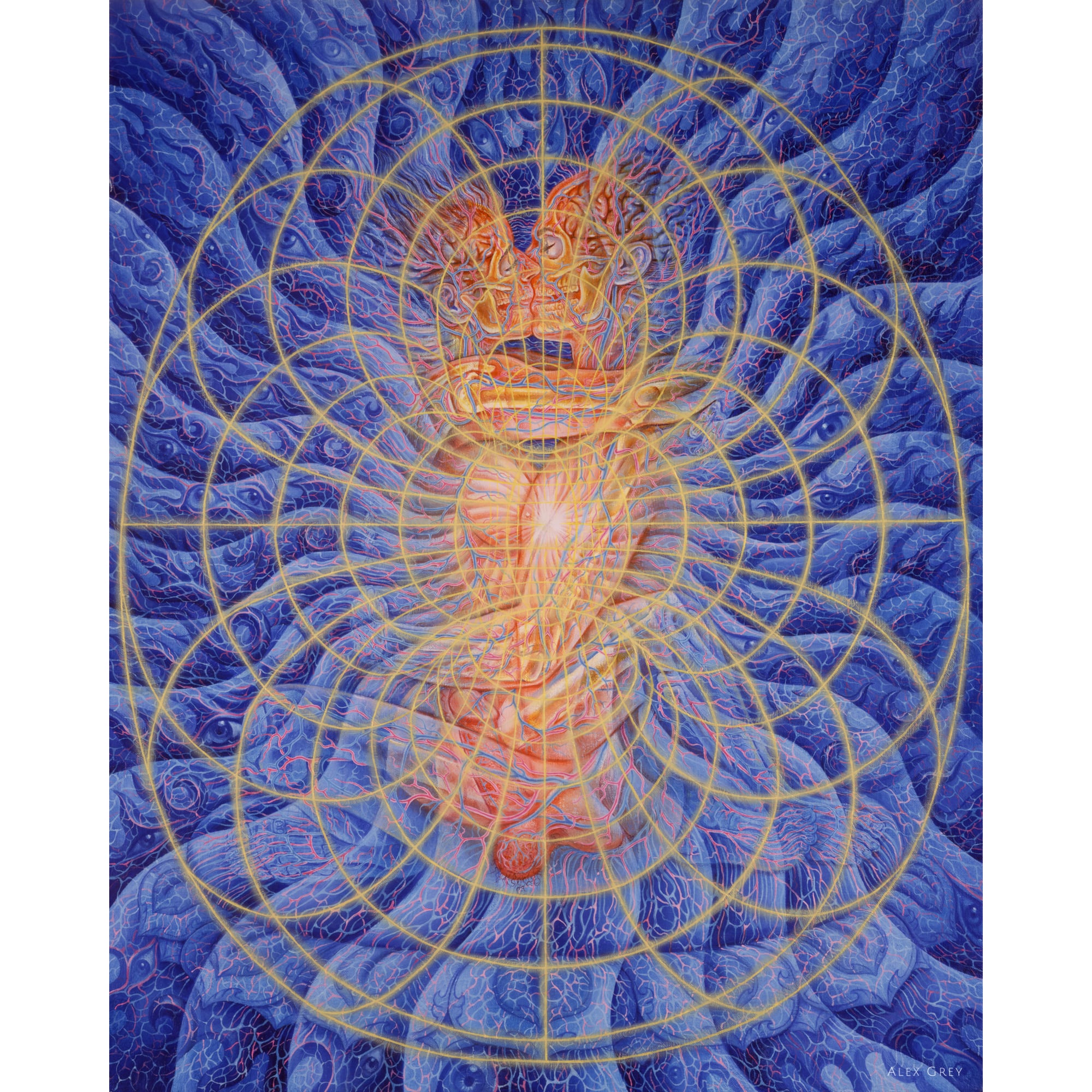 Psychedelic Art Alex Grey
