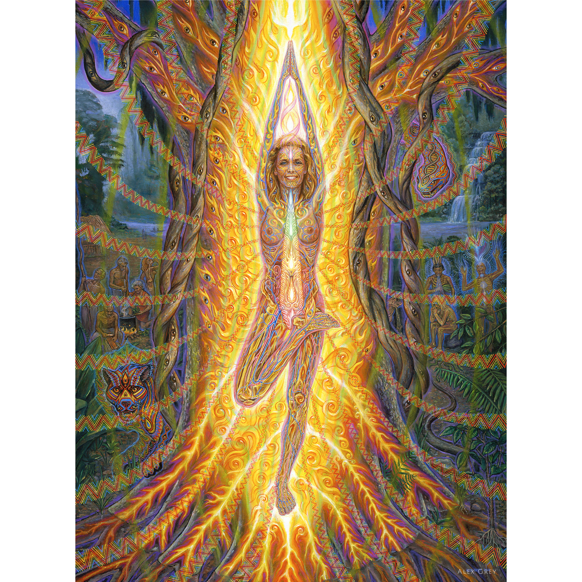 Alex Grey Chakras Biological Purpose And Transactional Love Integral
