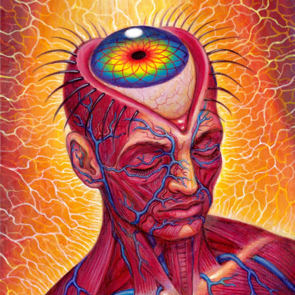 alex gray lateralus